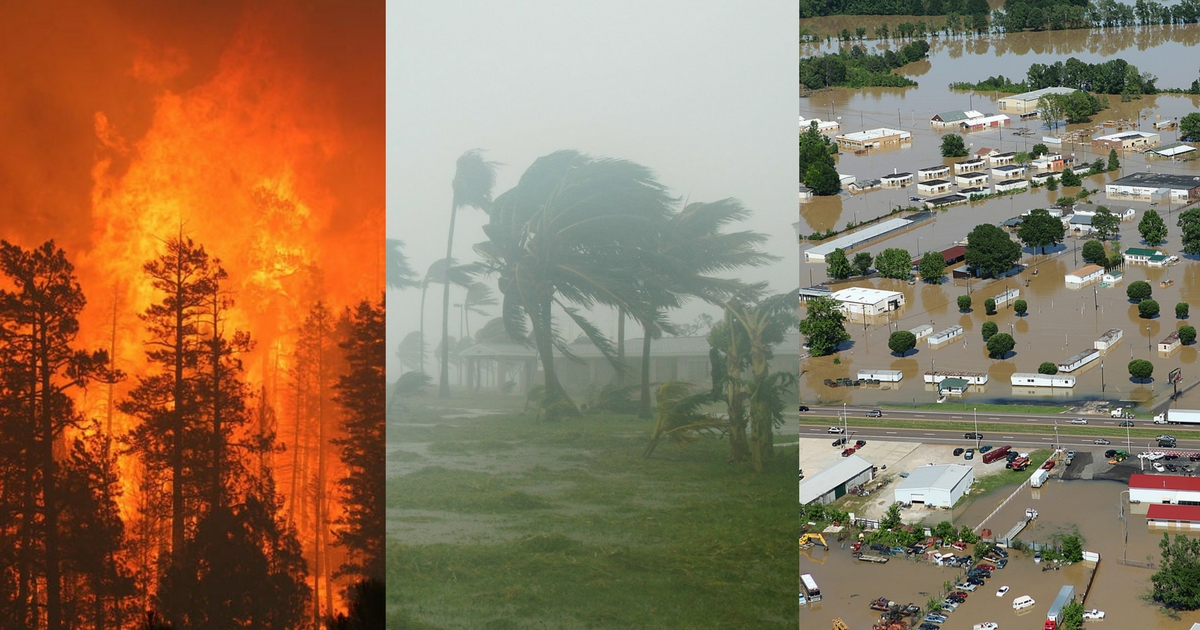 Surviving Natural Disasters and Accessing Resources – Blassys Academy